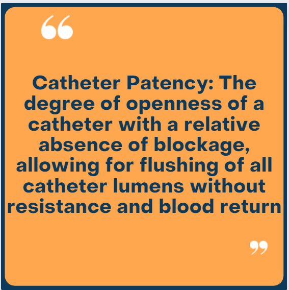 Pathway to Patency: Exploring the Challenges to Catheter Patency and ...